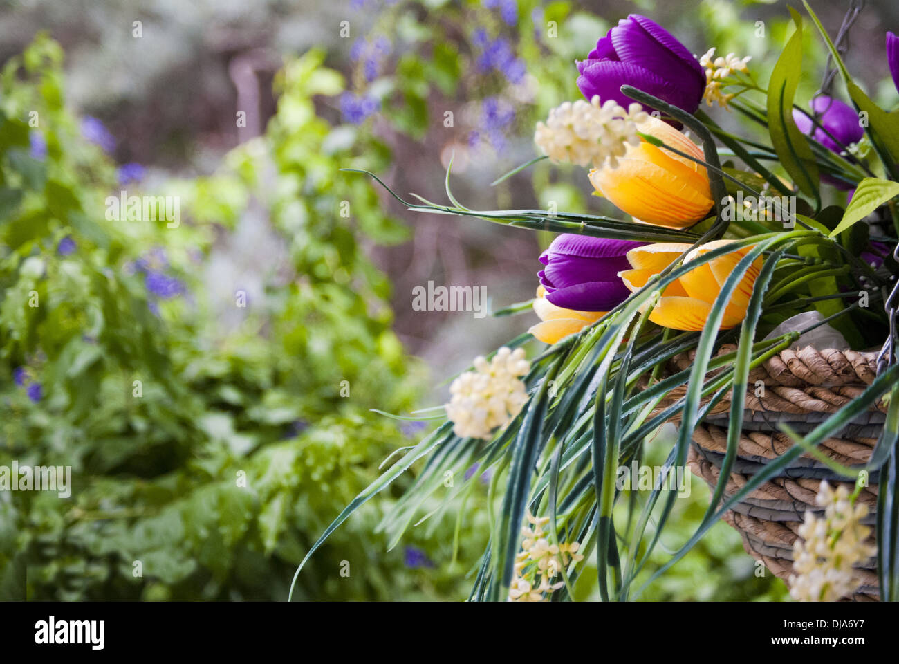 NATURE AND FLOWERS Stock Photo - Alamy