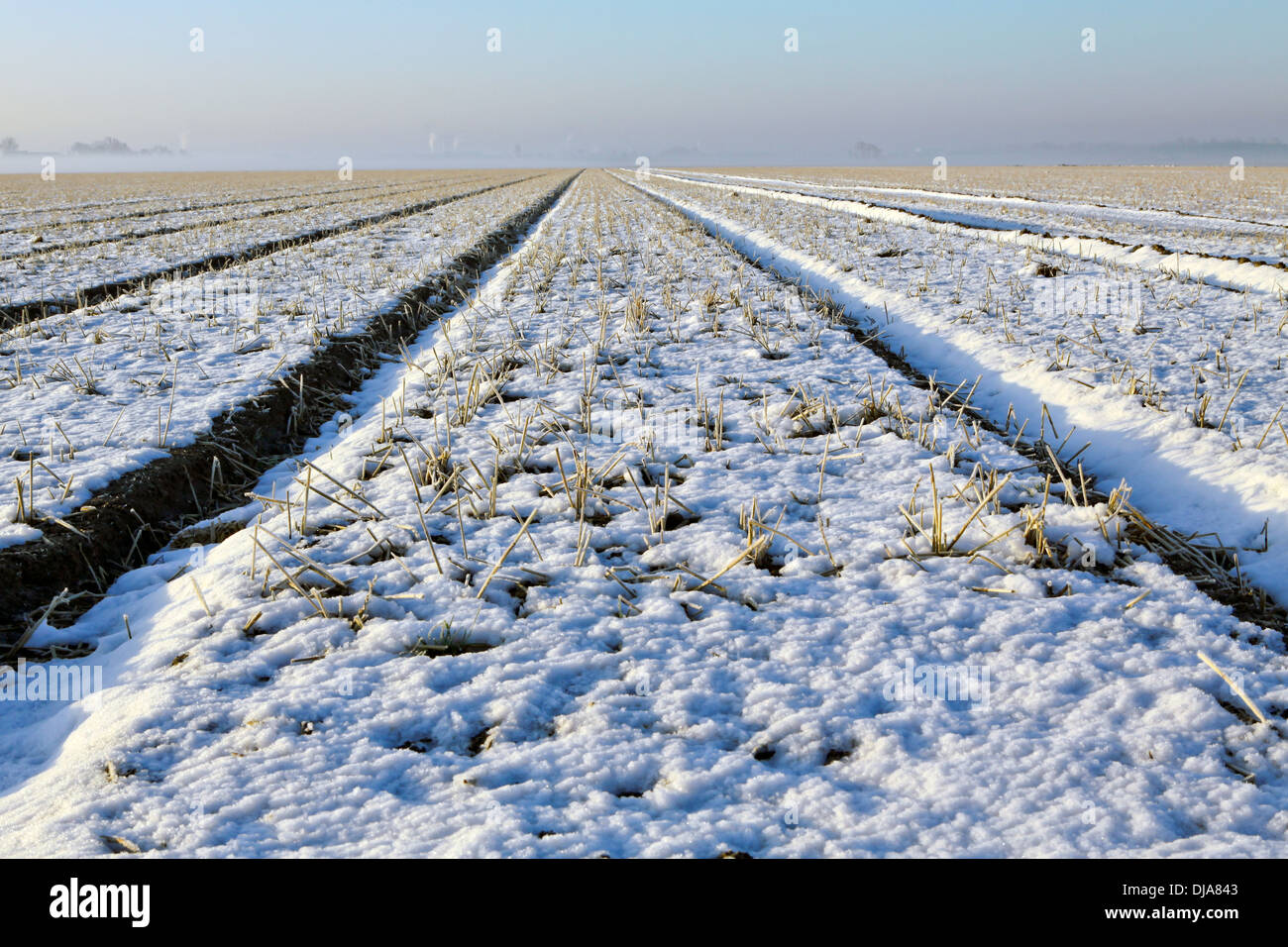 Typically dutch flat landscapes hi-res stock photography and images - Alamy