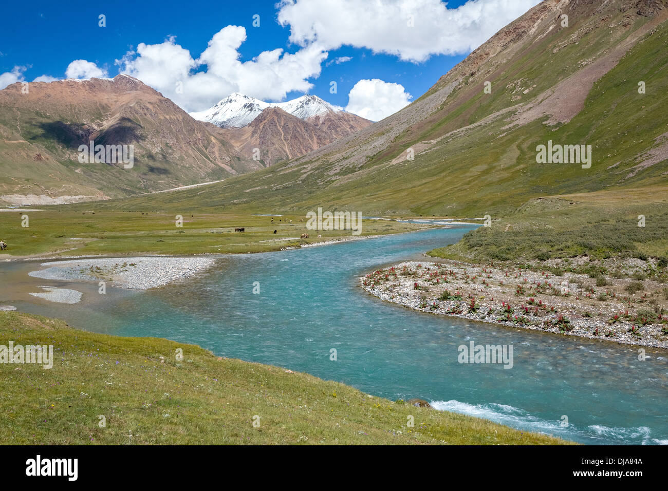 Landscape of blue river and mountains, Tien Shan Stock Photo - Alamy