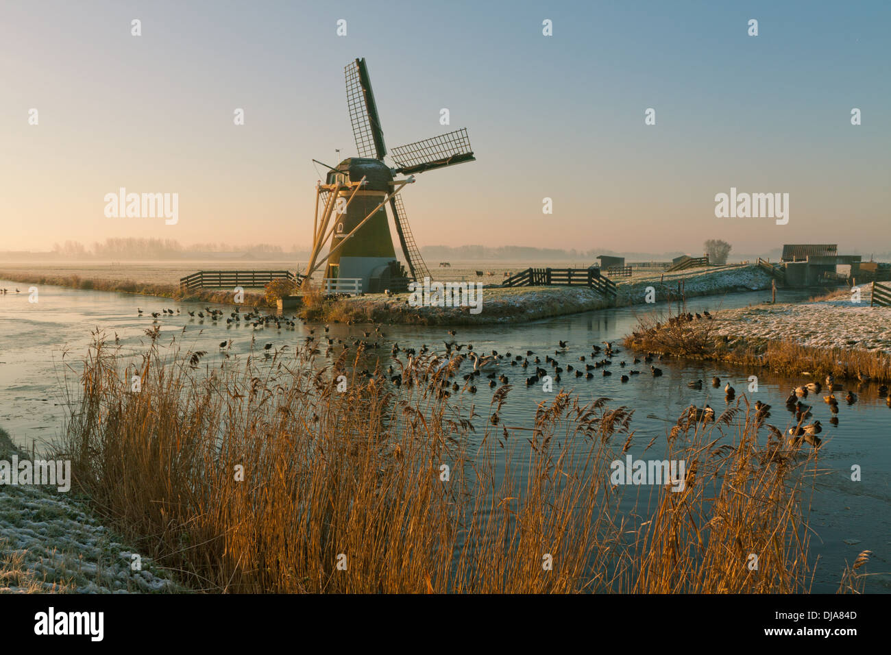 Typically dutch flat land hi-res stock photography and images - Alamy