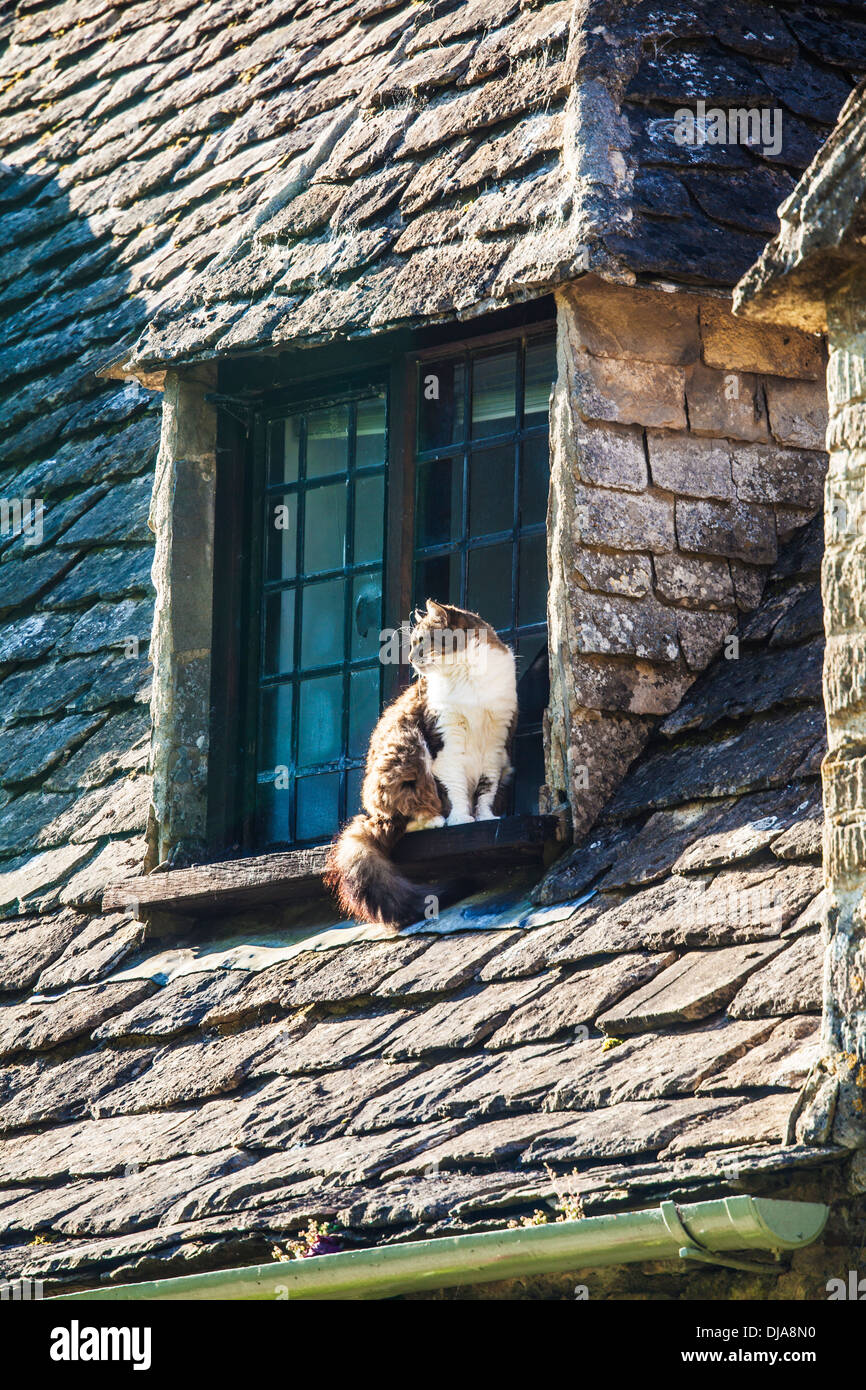 A cat sits on the window ledge of one of the famous weavers' cottages ...