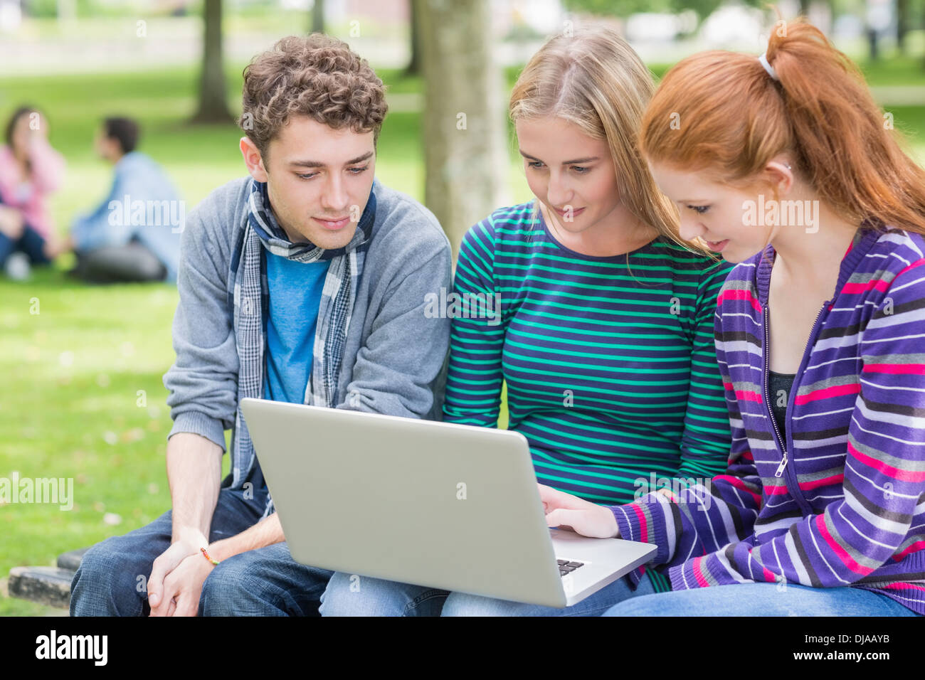 College students using laptop in park Stock Photo - Alamy
