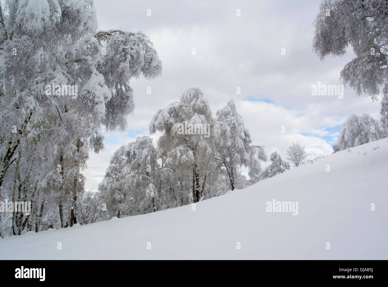 Winter landscape with deep snow Stock Photo - Alamy