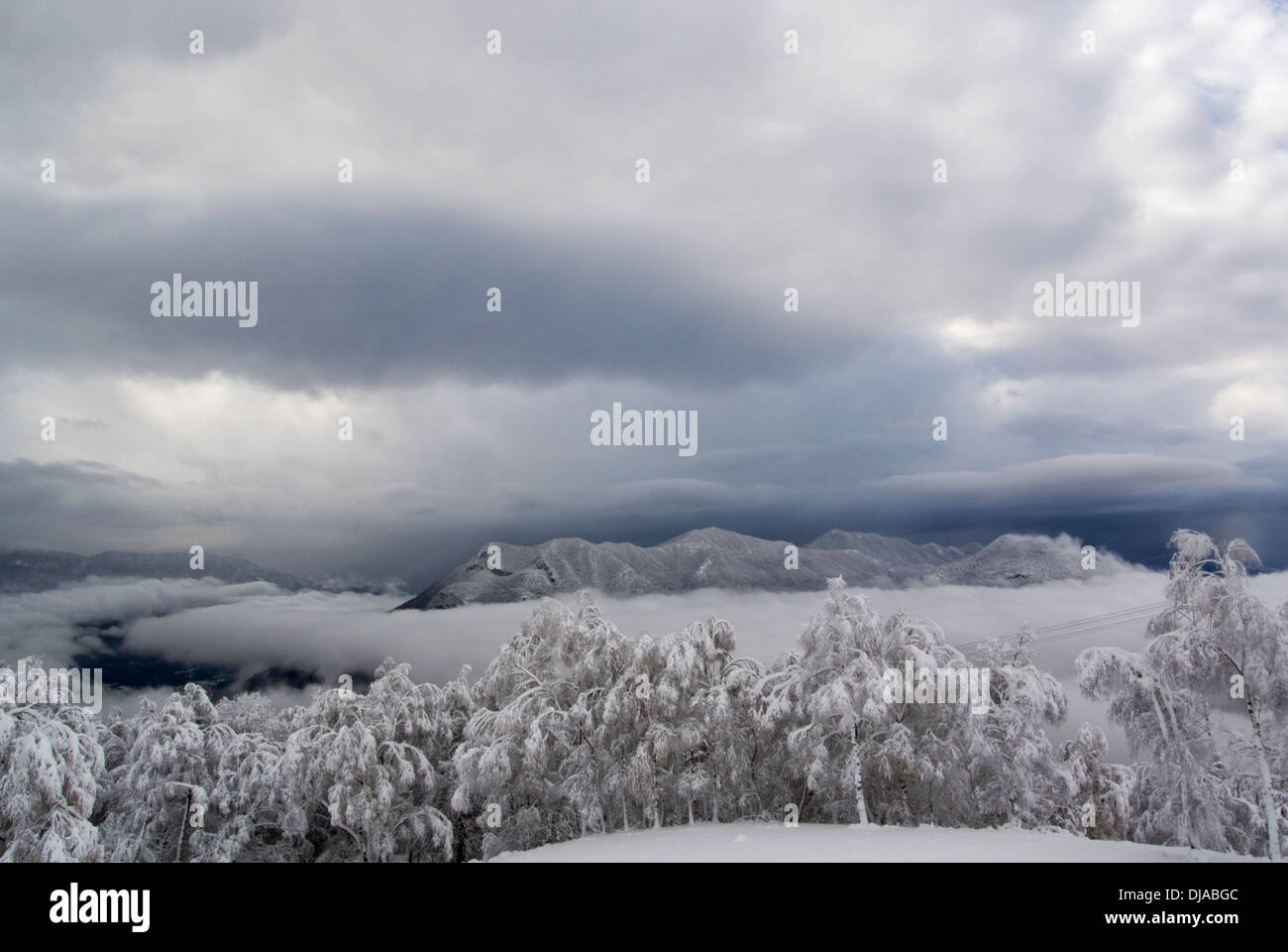 Winter in Italian Alps: clouds, fog and snow. Winter landscape Stock ...