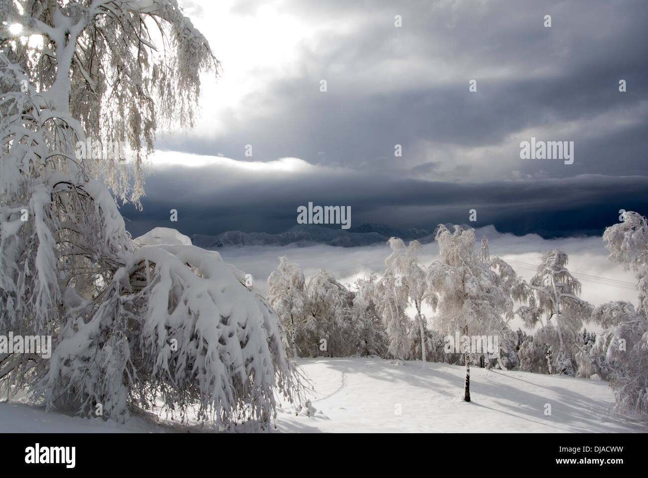 Winter light. Winter landscape with deep snow Stock Photo - Alamy