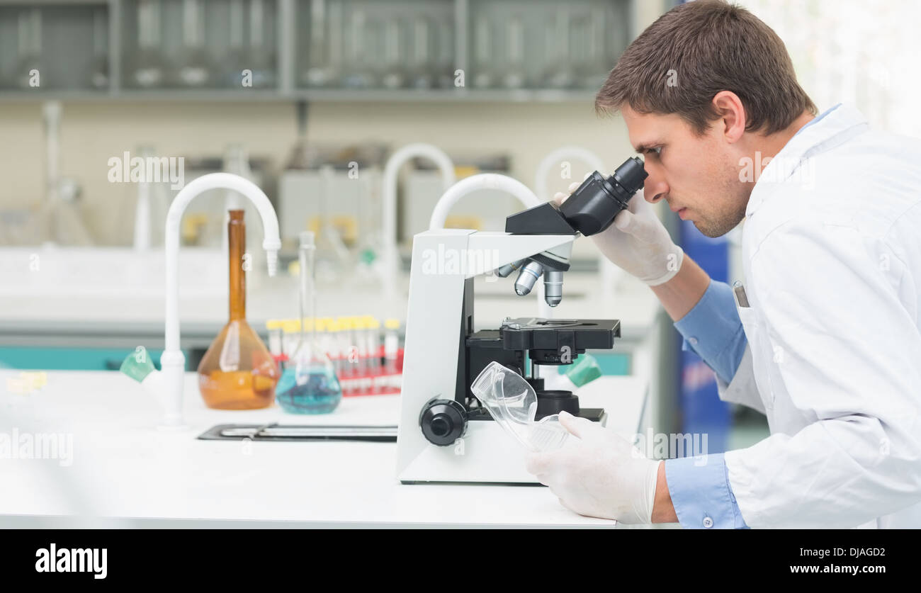 Scientific researcher using microscope in a laboratory Stock Photo - Alamy