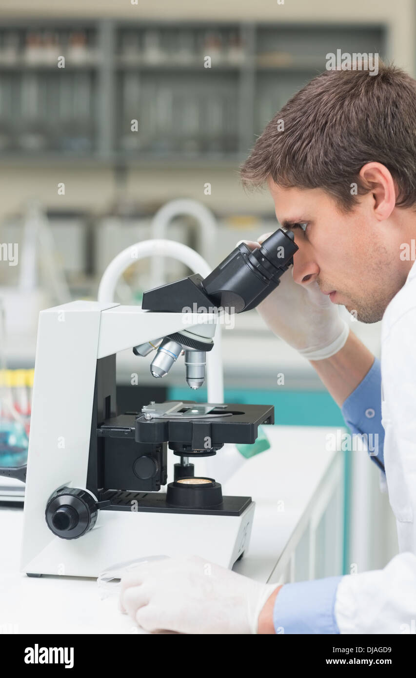 Scientific researcher using microscope in the laboratory Stock Photo ...