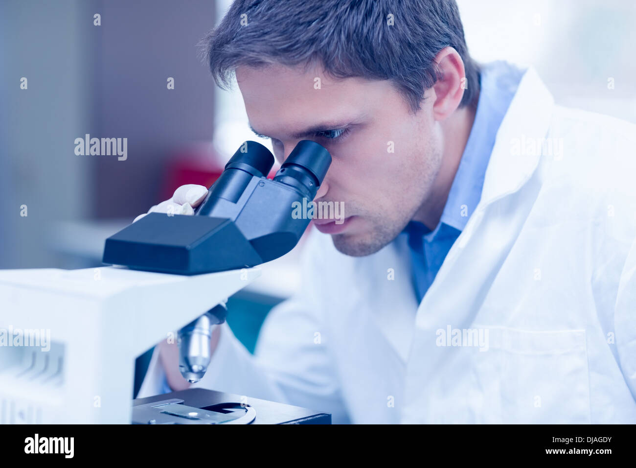 Scientific researcher using microscope in the laboratory Stock Photo ...