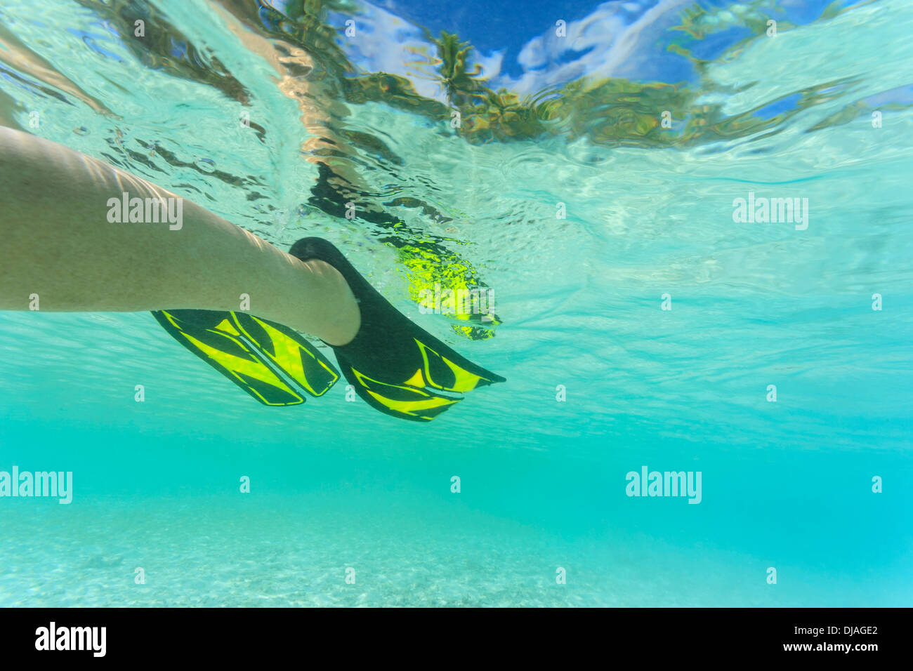 Snorkeling flippers in tropical water Stock Photo - Alamy