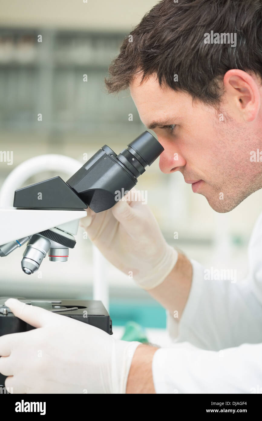 Scientific researcher using microscope in the laboratory Stock Photo ...