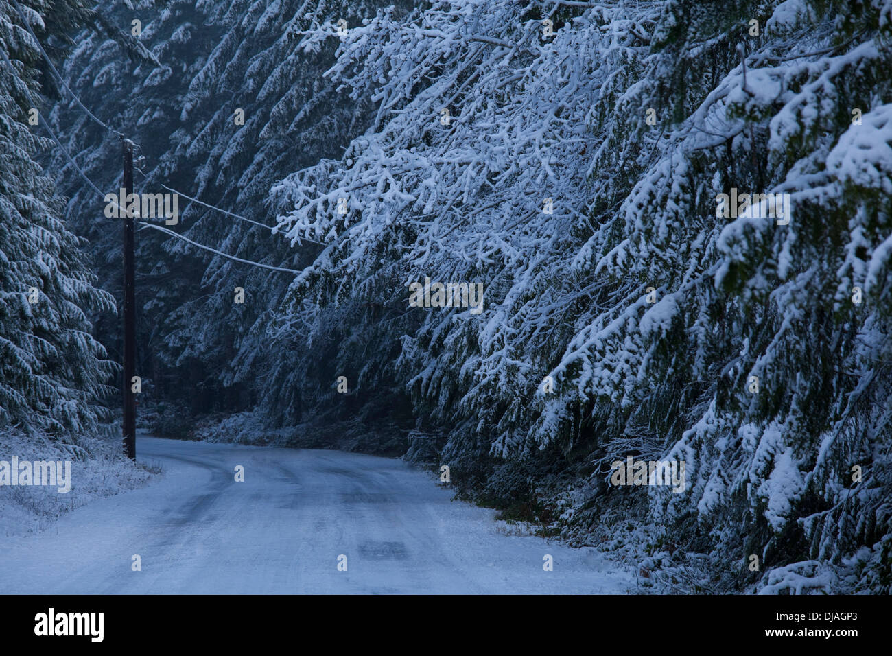 United states america road hi-res stock photography and images - Alamy