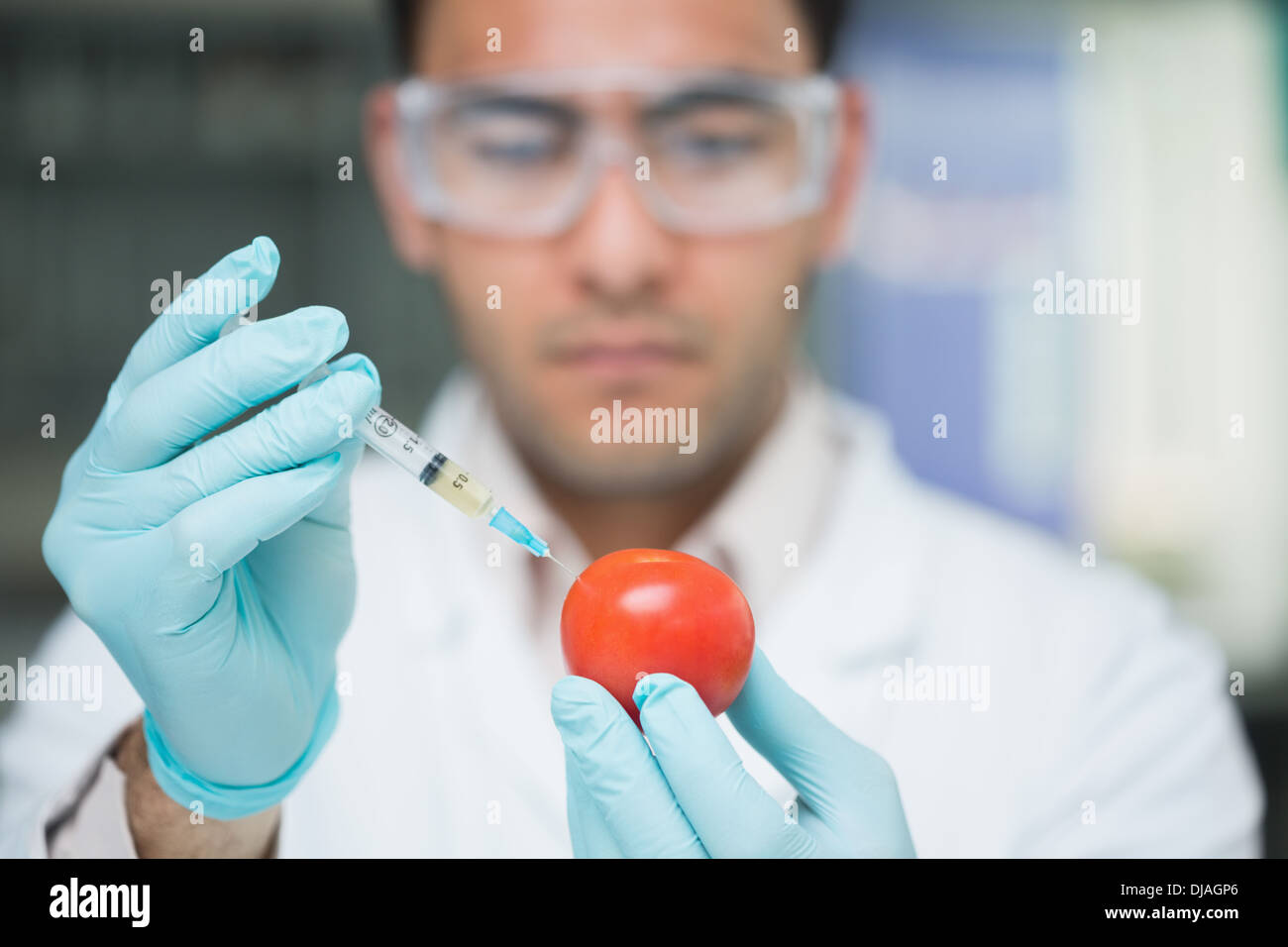 Scientific researcher injecting a tomato at the lab Stock Photo - Alamy