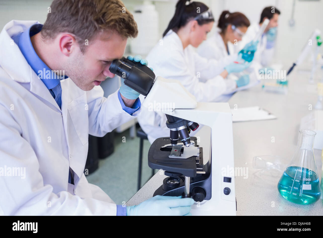 Busy researchers working on experiments in the lab Stock Photo - Alamy