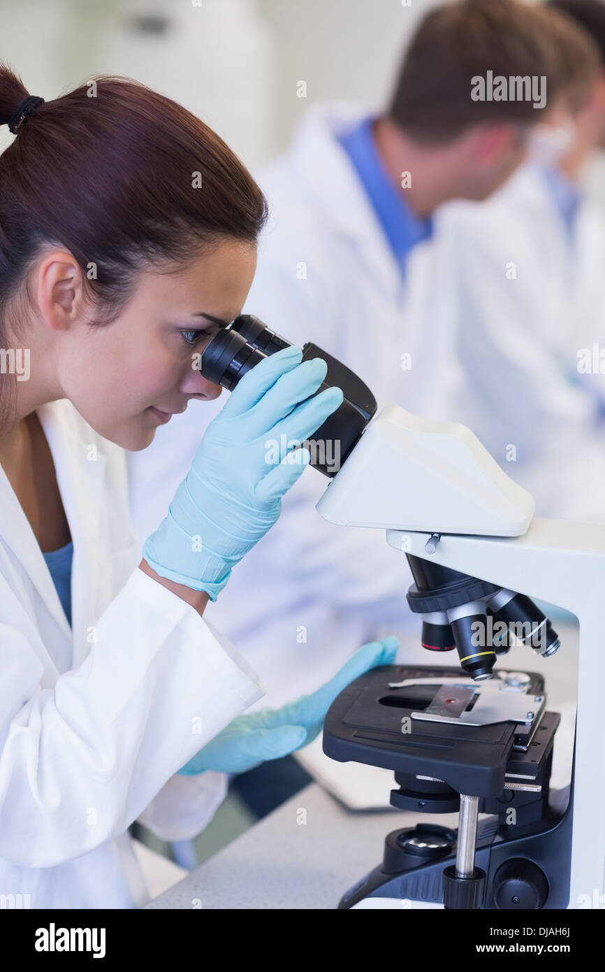 Female scientific researcher using microscope in lab Stock Photo - Alamy