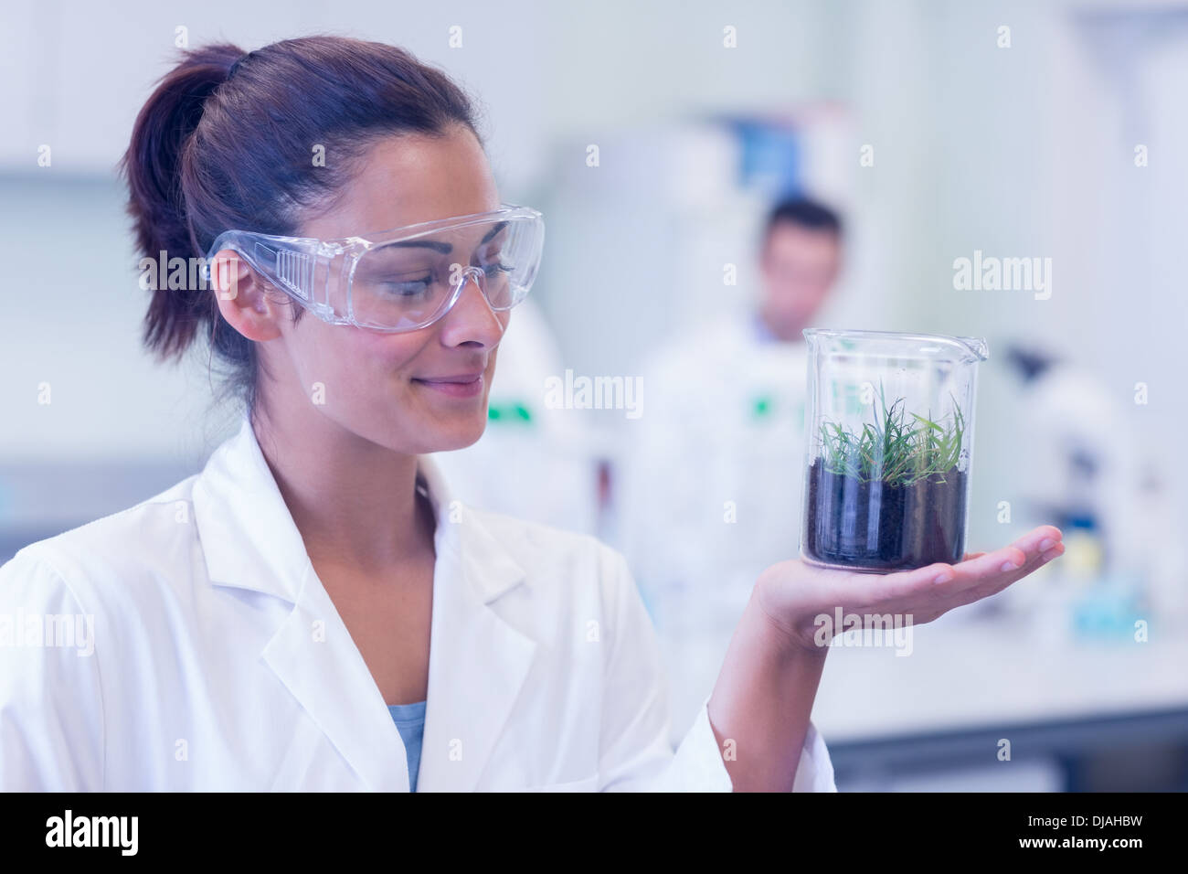 Female scientist analyzing a young plant at lab Stock Photo - Alamy