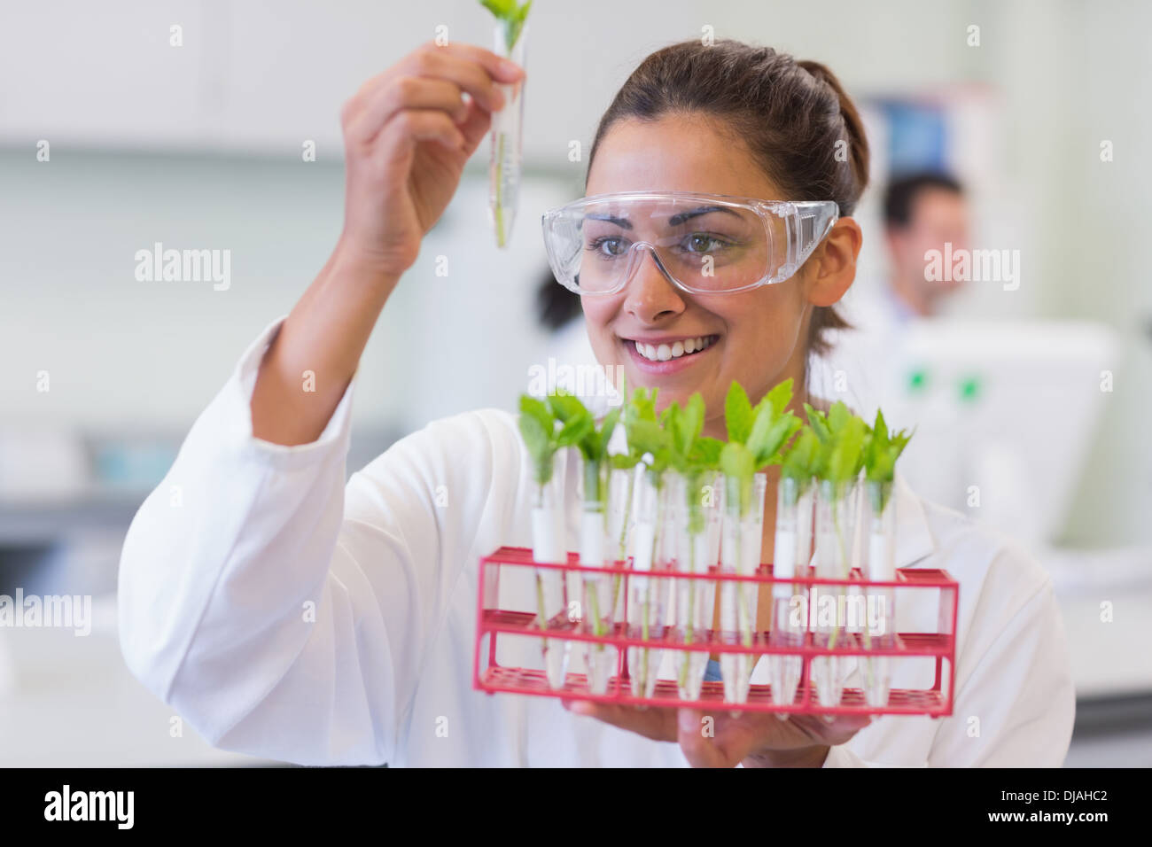 Female scientist analyzing young plants at lab Stock Photo - Alamy