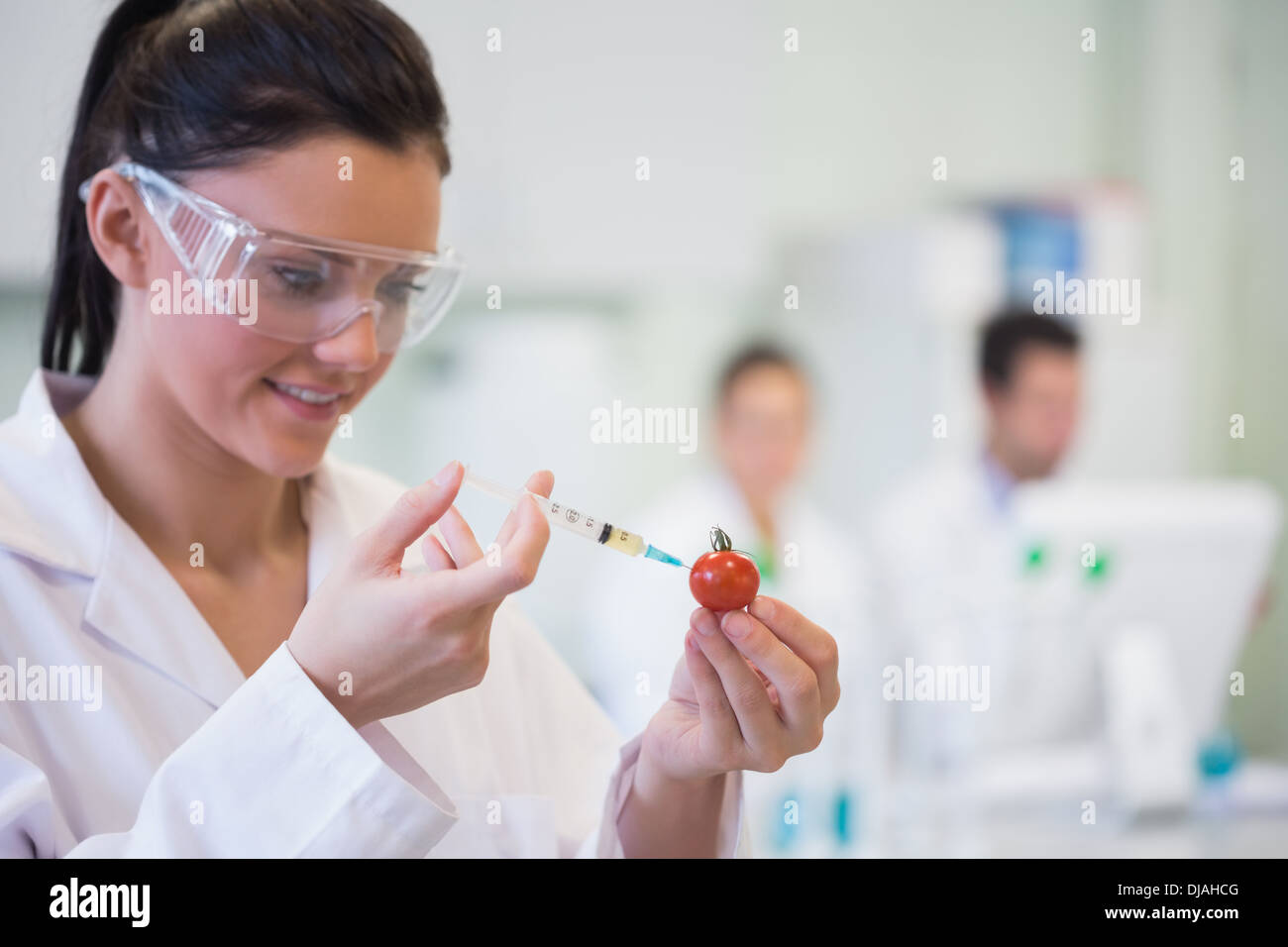 Scientific researcher injecting tomato at lab Stock Photo - Alamy