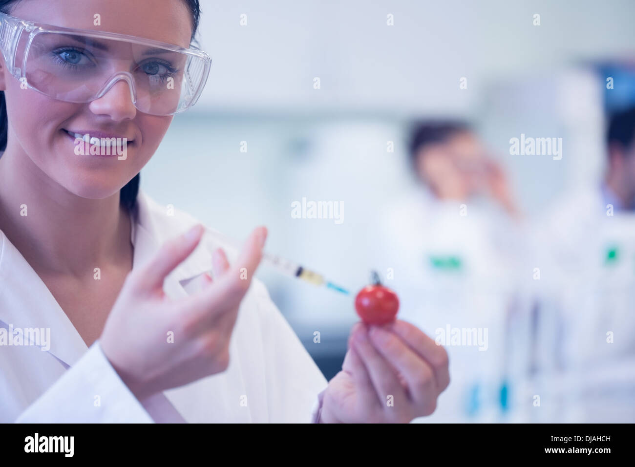 Close-up of a scientific researcher injecting a tomato at the lab Stock ...