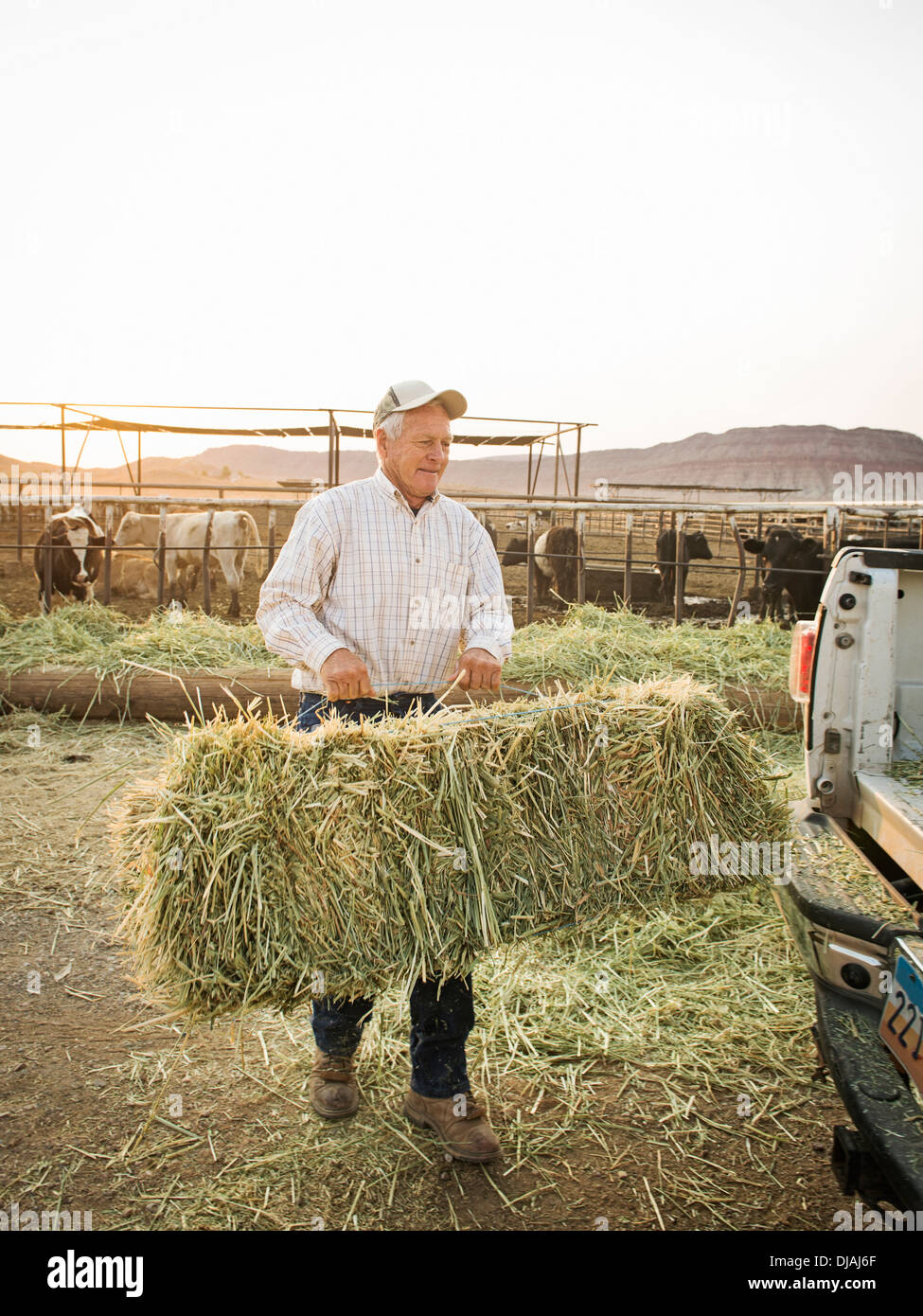 Carrying holding lifting hi-res stock photography and images - Alamy