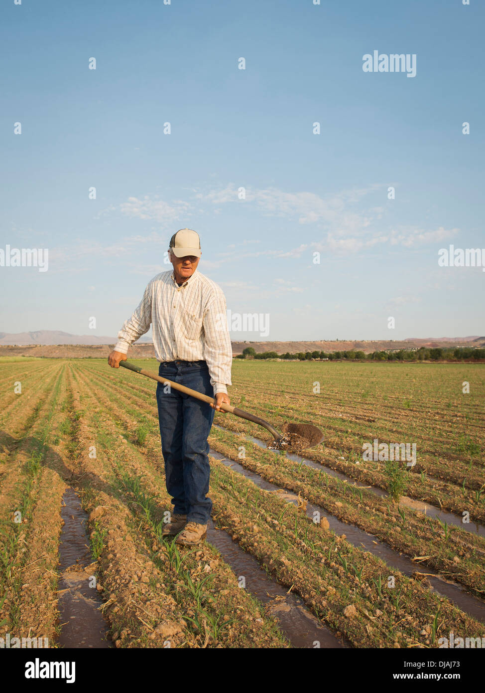 Planting seed hi-res stock photography and images - Alamy