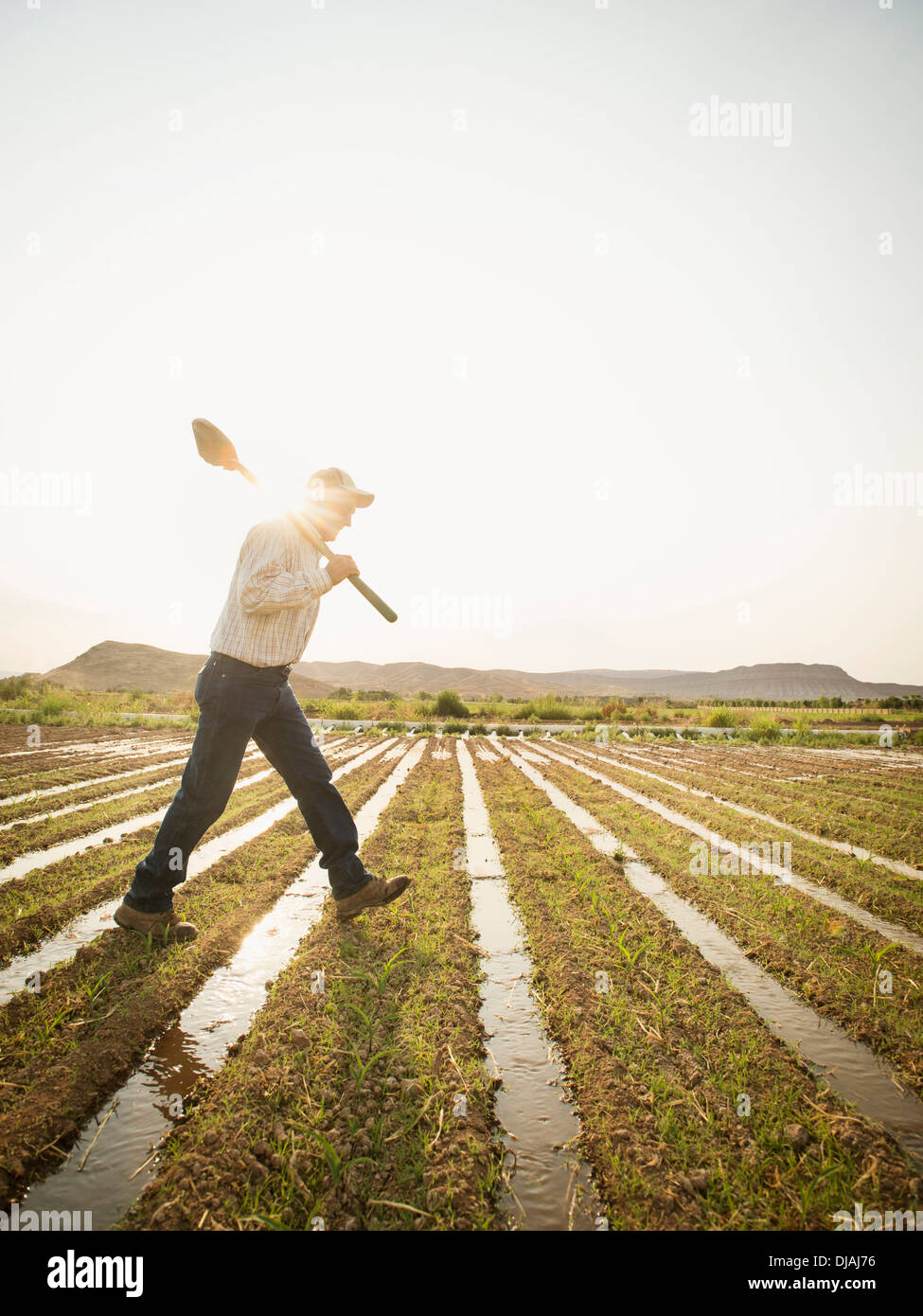 Farmer crop row hi-res stock photography and images - Alamy