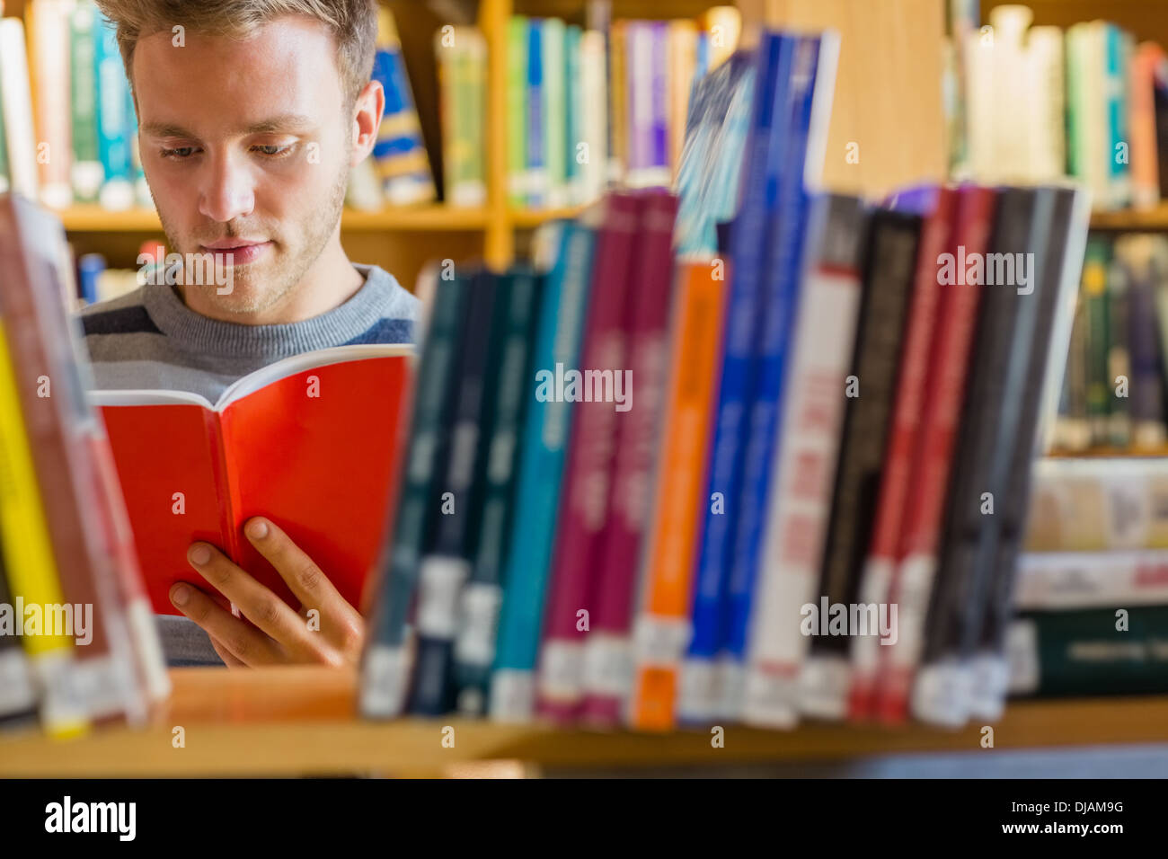 Male student in school library hi-res stock photography and images - Alamy