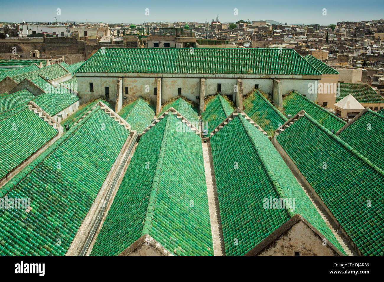 Green roofs in Fez, Morocco Stock Photo - Alamy