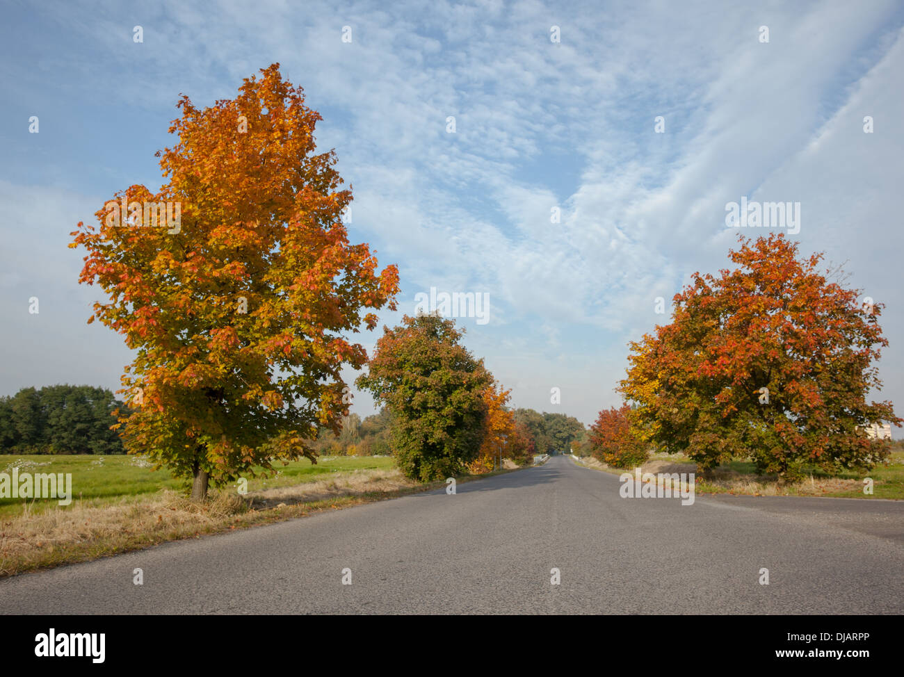 Empty tarmac country road along trees and landscape Stock Photo - Alamy