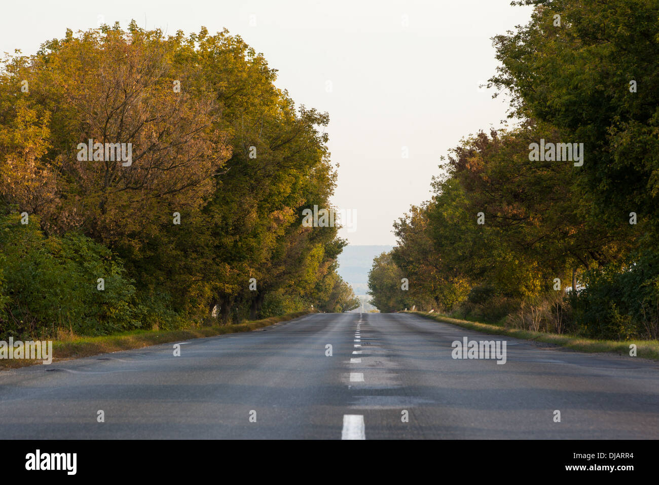 Tarmac country road along trees and against clear sky Stock Photo - Alamy