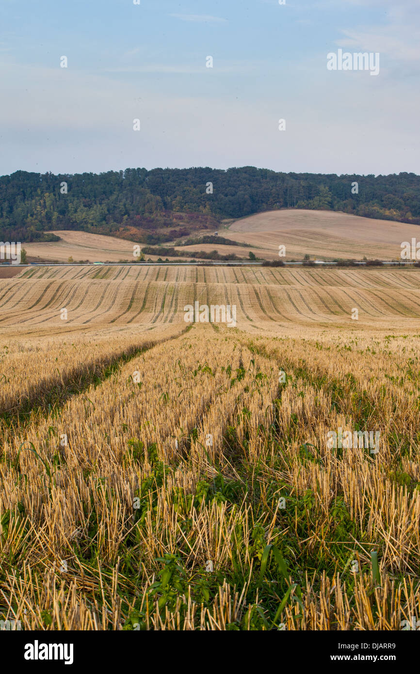 Rural fields hi-res stock photography and images - Alamy