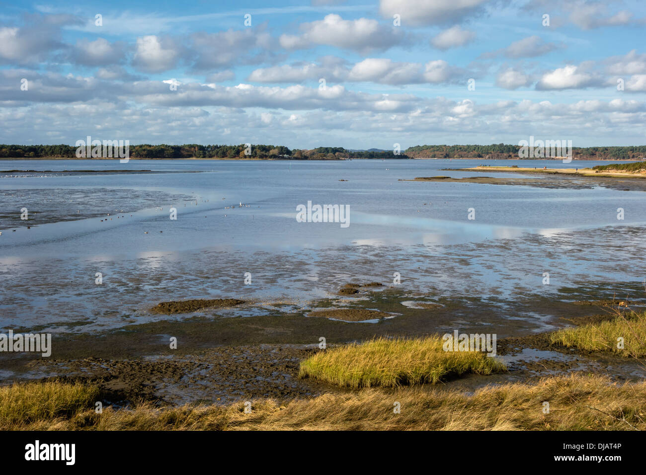 Brands bay poole harbour hi-res stock photography and images - Alamy