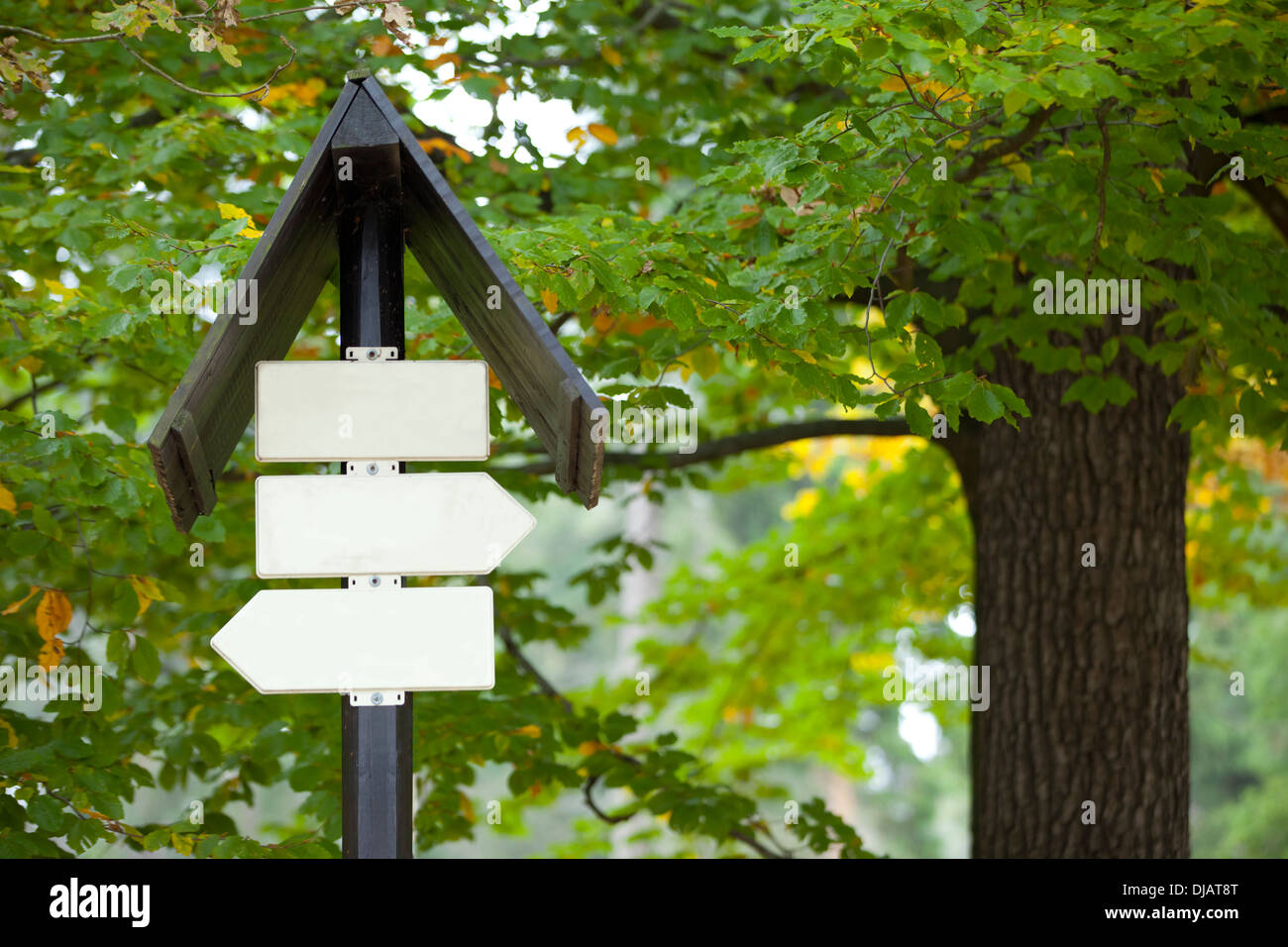Blank sign boards against trees Stock Photo - Alamy