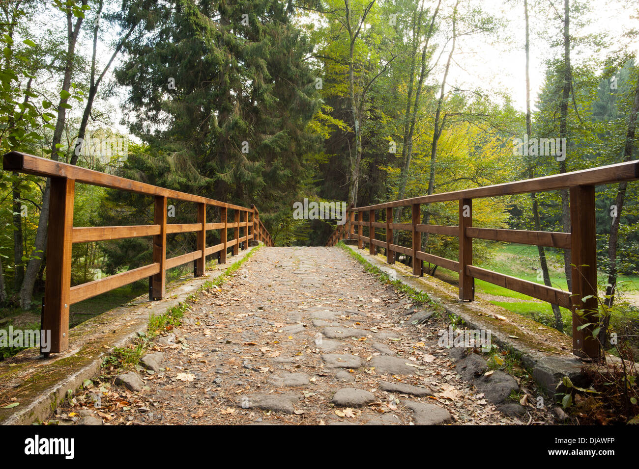Long wooden bridge leading hi-res stock photography and images - Alamy