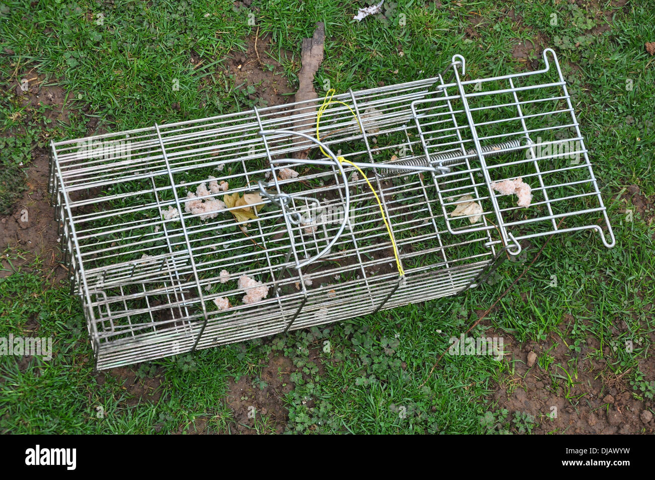Rat trap hi-res stock photography and images - Alamy