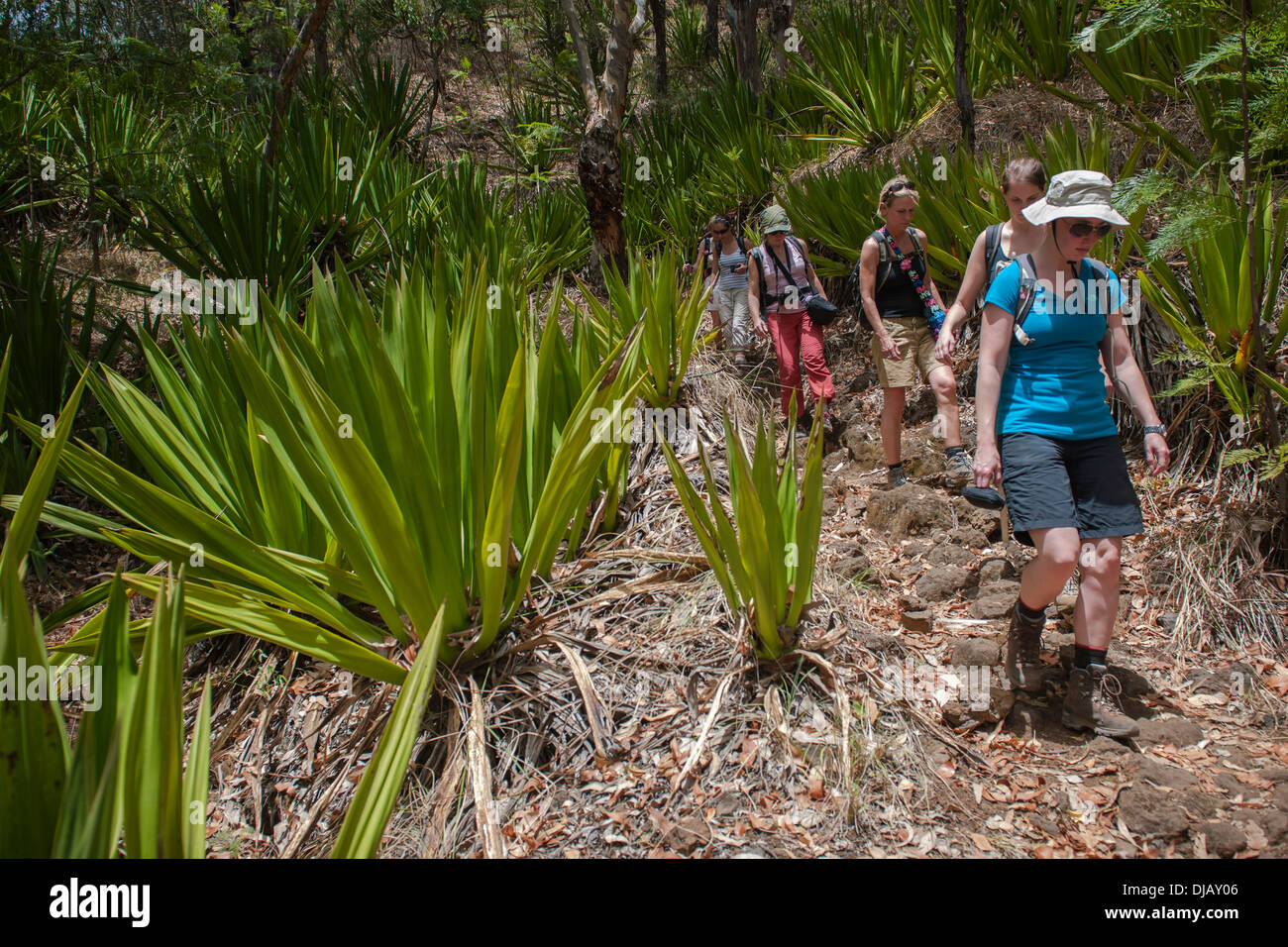 Parque natural do fogo hi-res stock photography and images - Alamy