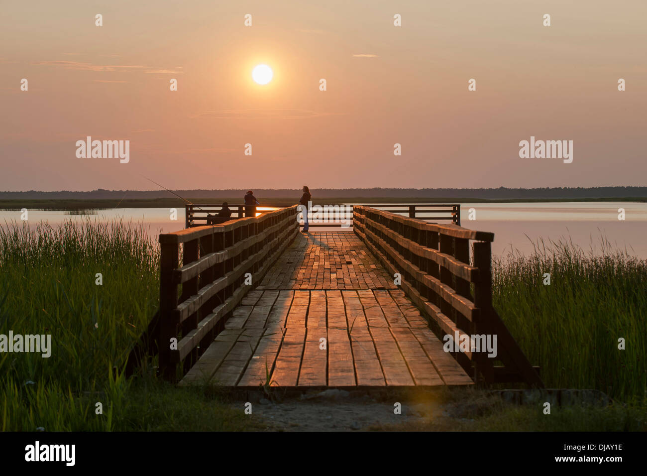 Pomeranian silhouette hi-res stock photography and images - Alamy