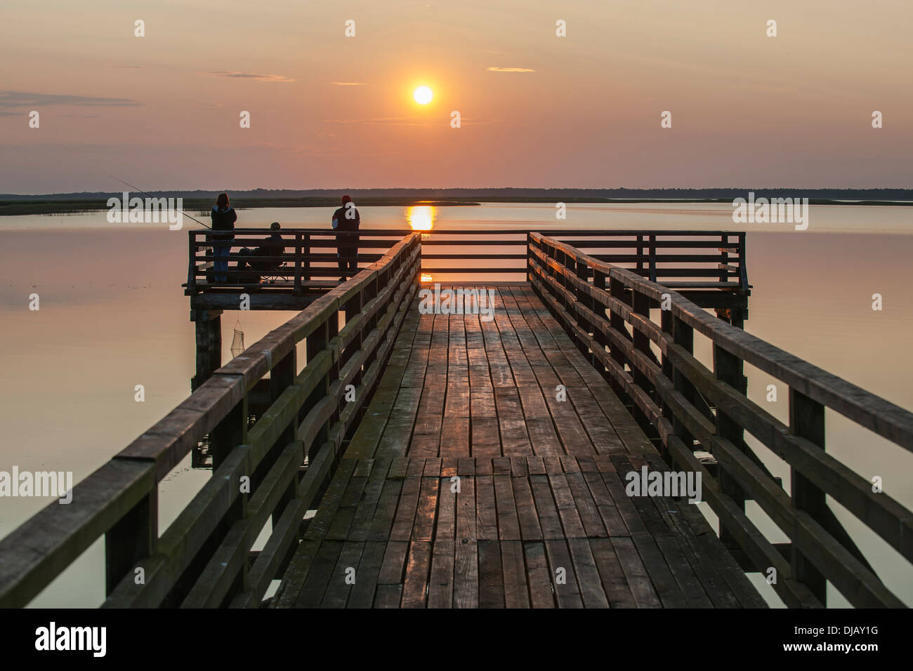 Pomeranian silhouette hi-res stock photography and images - Alamy