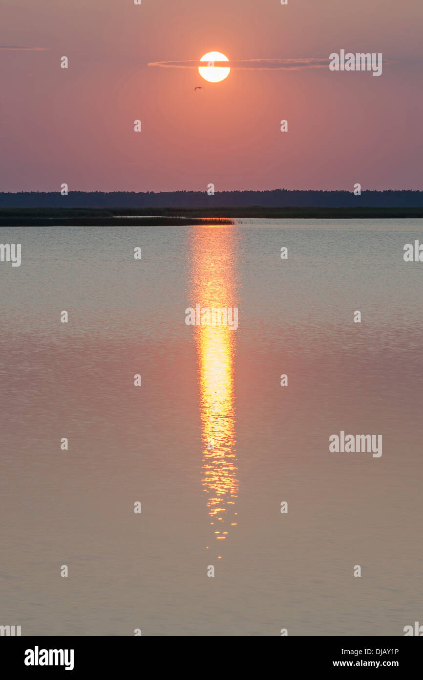 Pomeranian lakes hi-res stock photography and images - Alamy