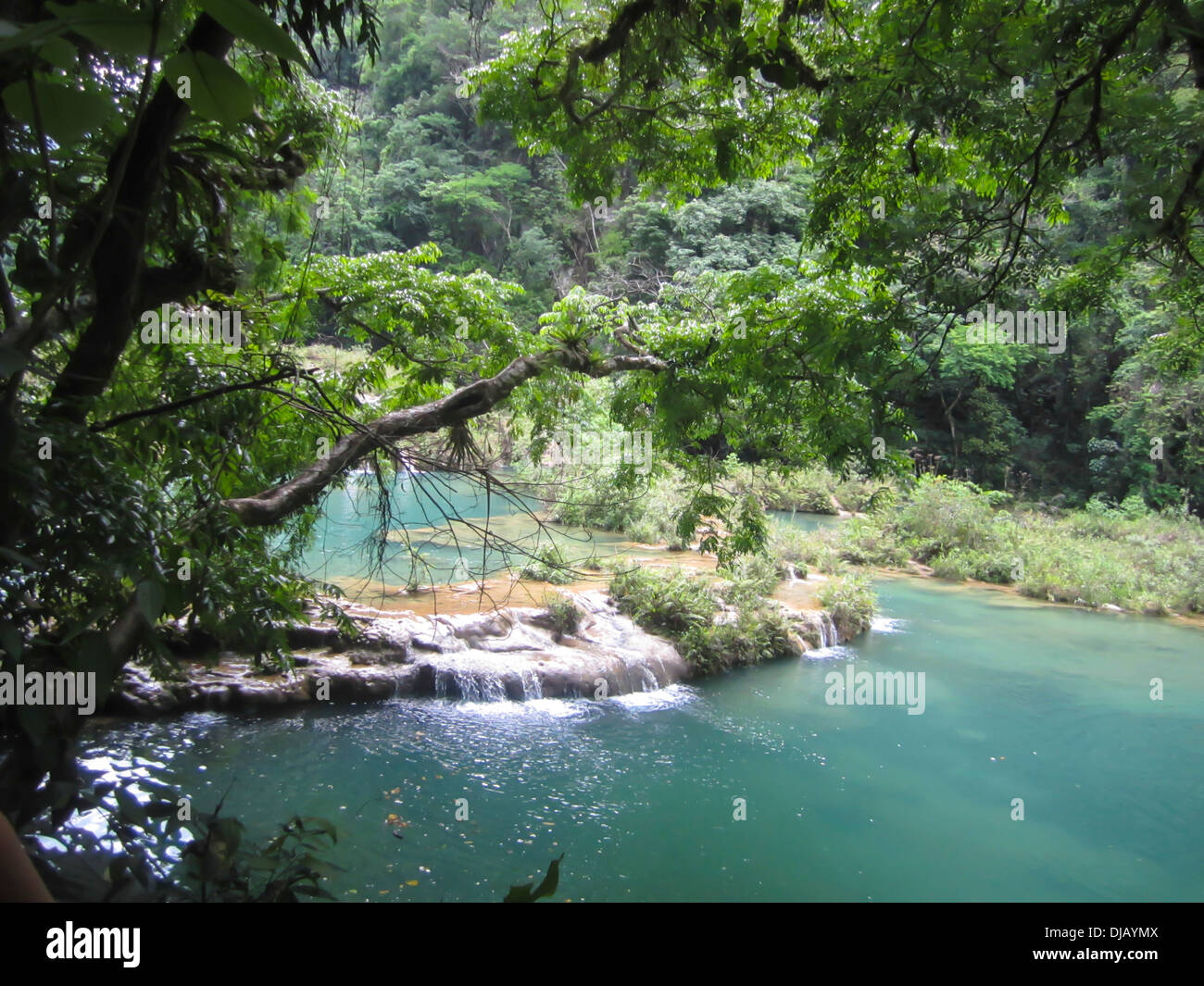 El Rosario National Park, El Petén, near Sayaxché Guatemala Stock Photo ...
