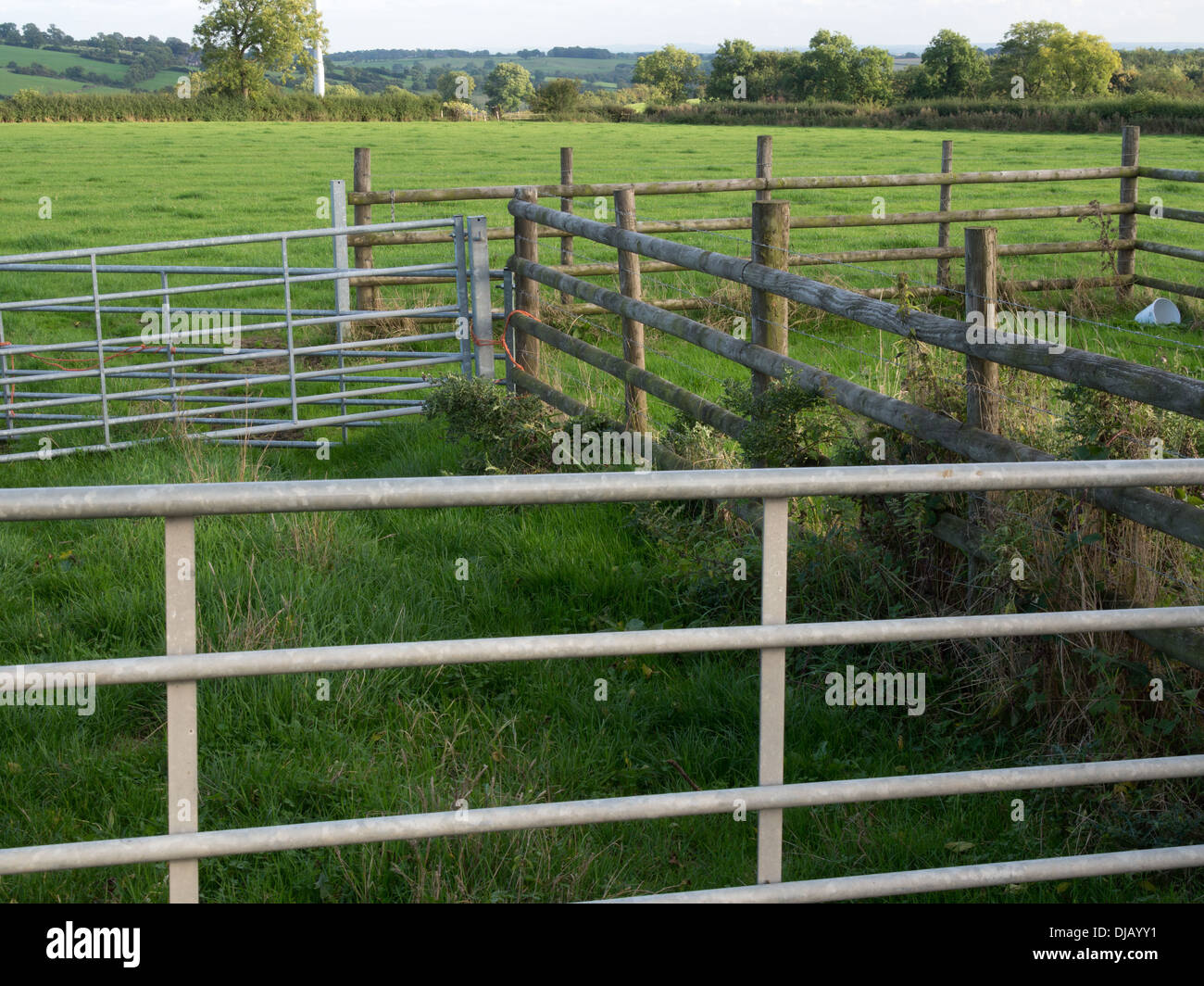 farm gate field closed derbyshire uk Stock Photo - Alamy