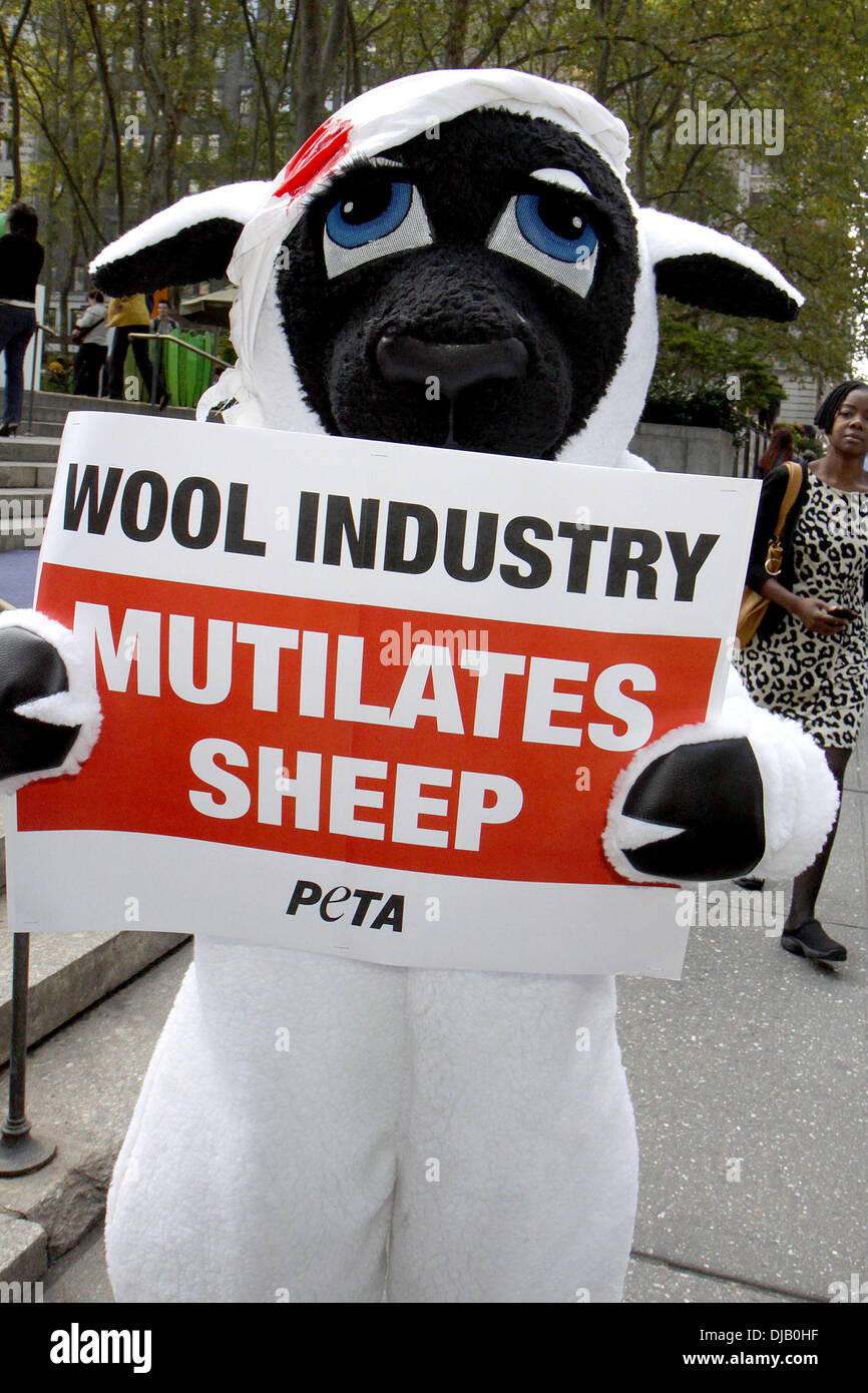 Peta peta campaign hi-res stock photography and images - Alamy