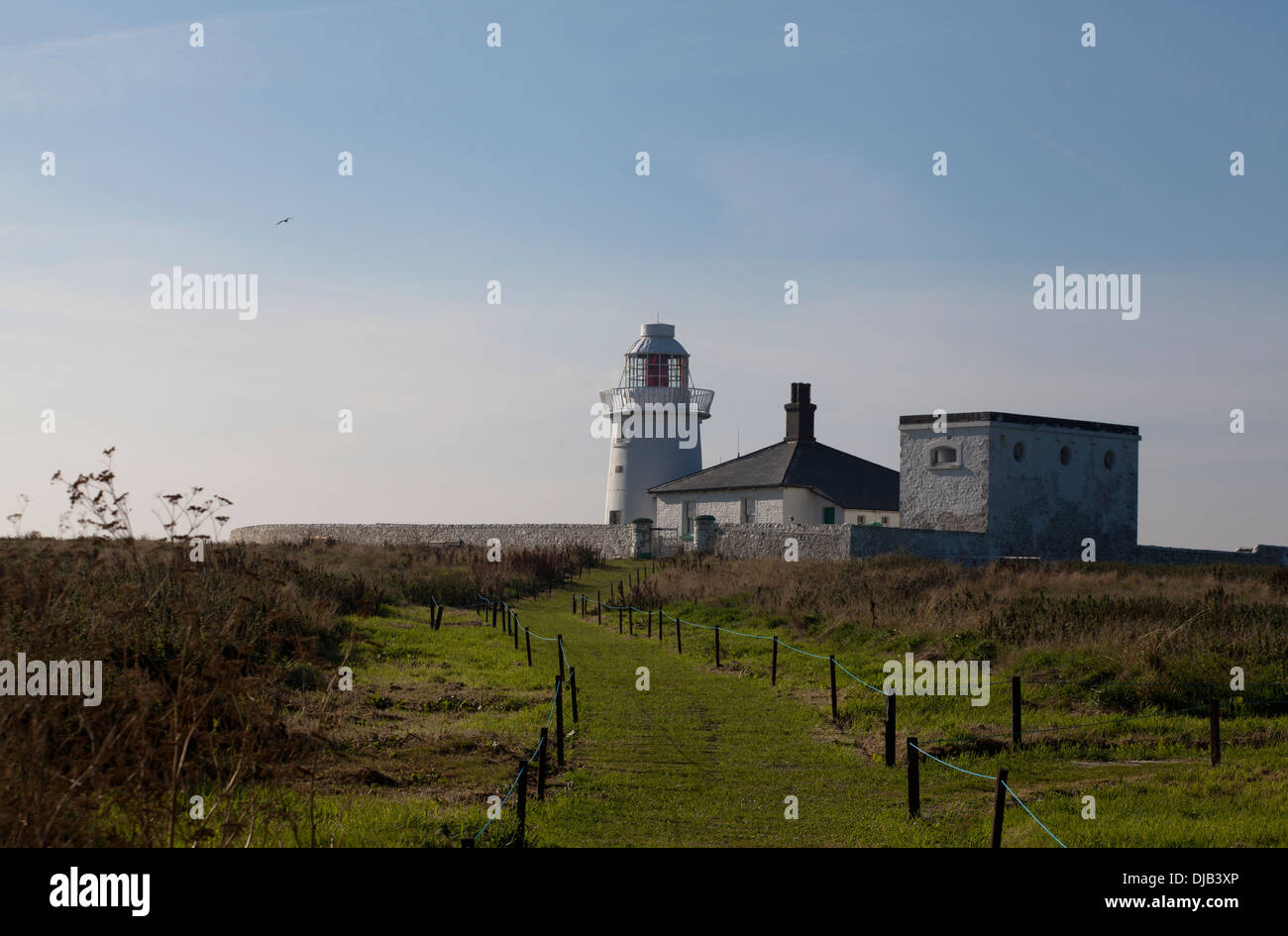 Northumberland,The Farne Islands,Inner Farne uk,Light House inner Farne ...