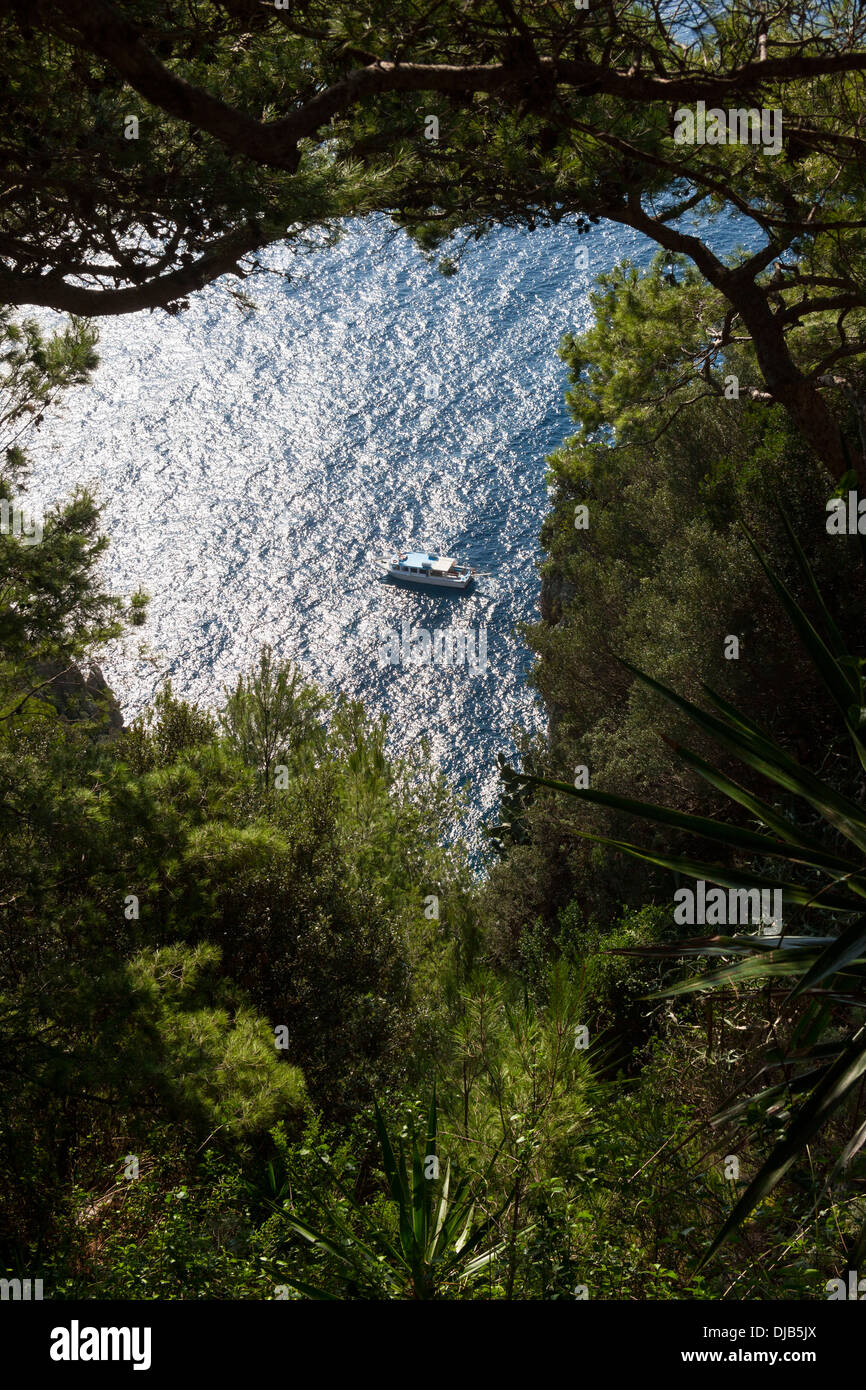 Looking down through trees hi-res stock photography and images - Alamy