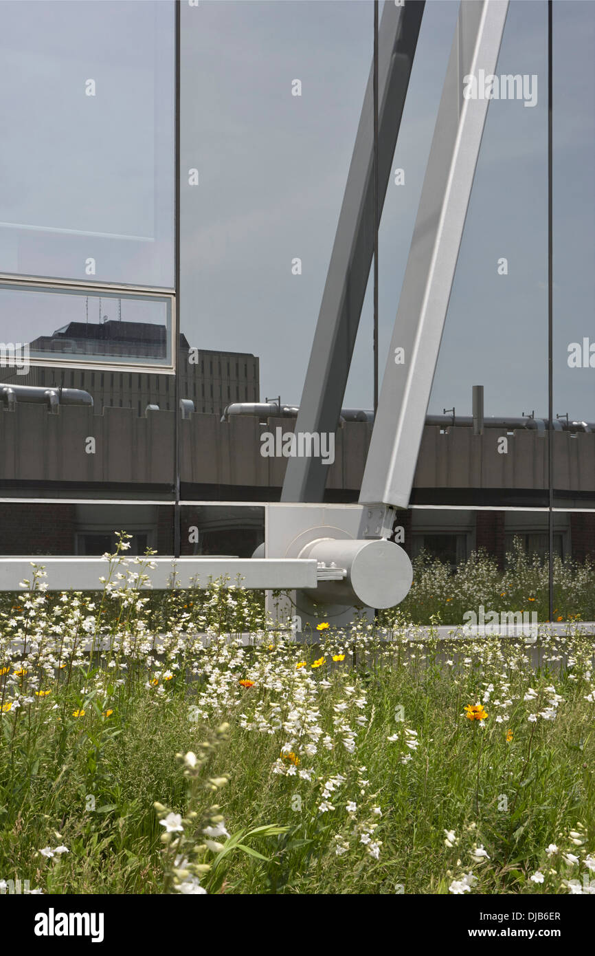 The Quantum Nano Centre, Waterloo, Canada. Architect: Kuwabara Payne ...