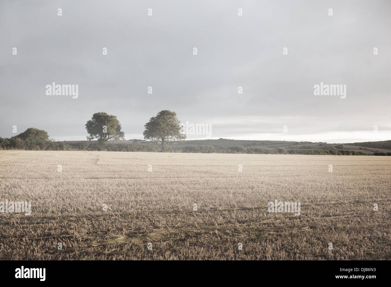 Bright landscape hi-res stock photography and images - Alamy