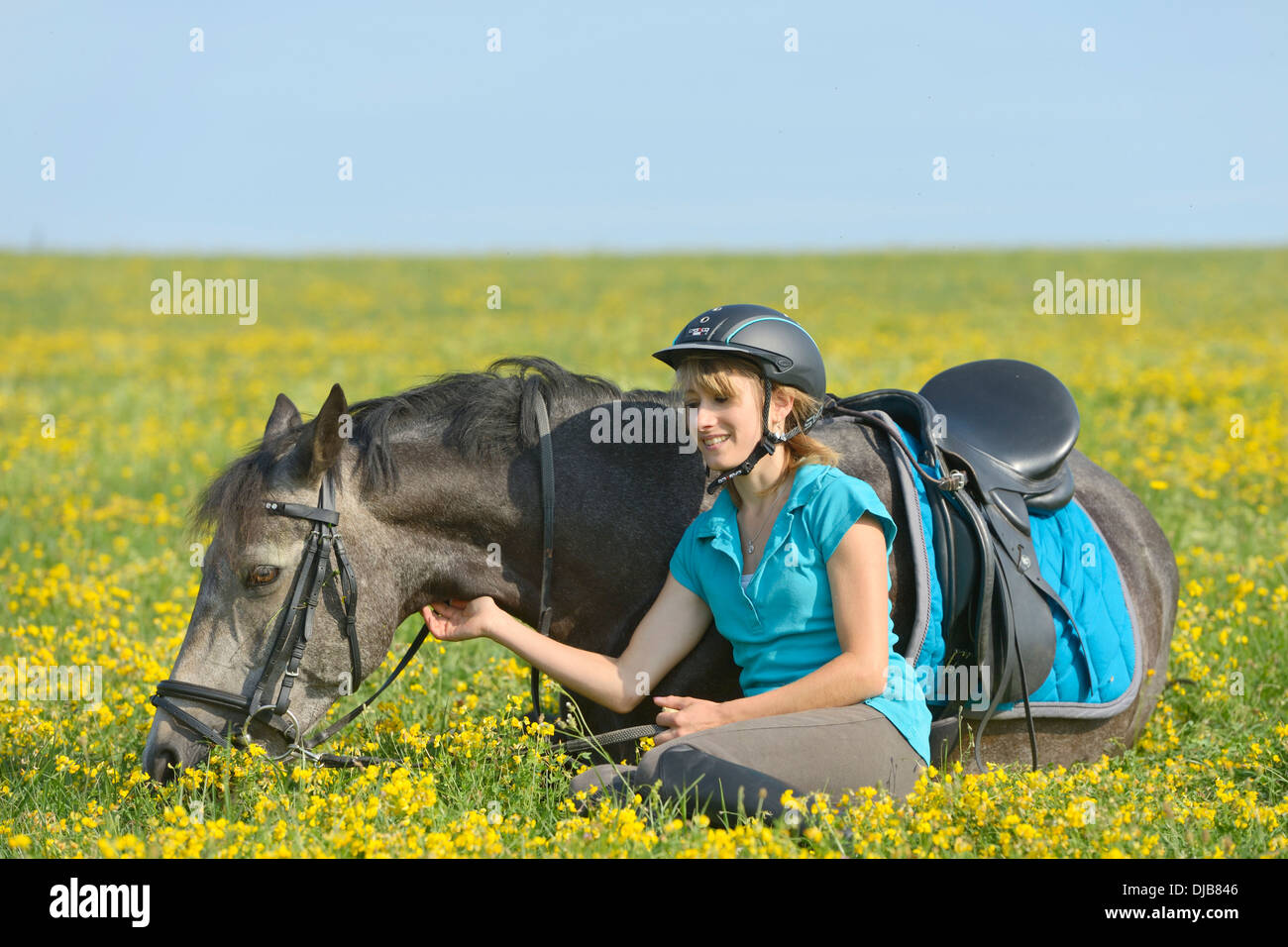 Rider sitting horse hi-res stock photography and images - Alamy