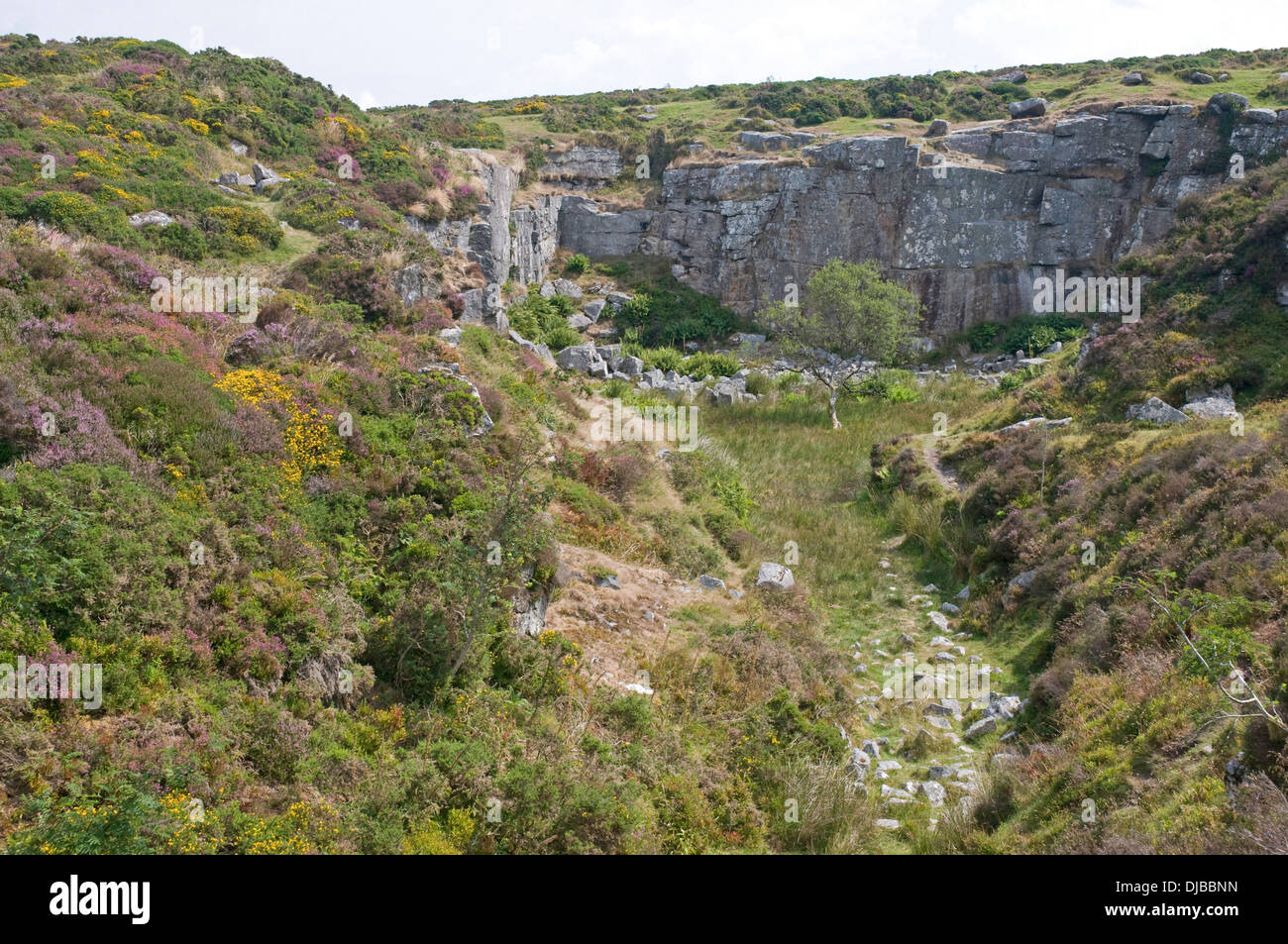 Old disused and overgrown quarry workings on the northern slopes of ...