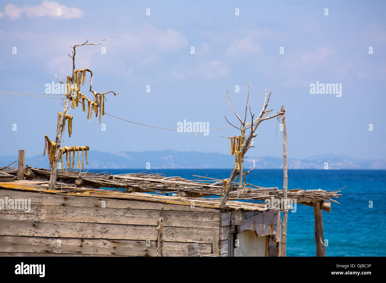 Peix sec formentera hi-res stock photography and images - Alamy