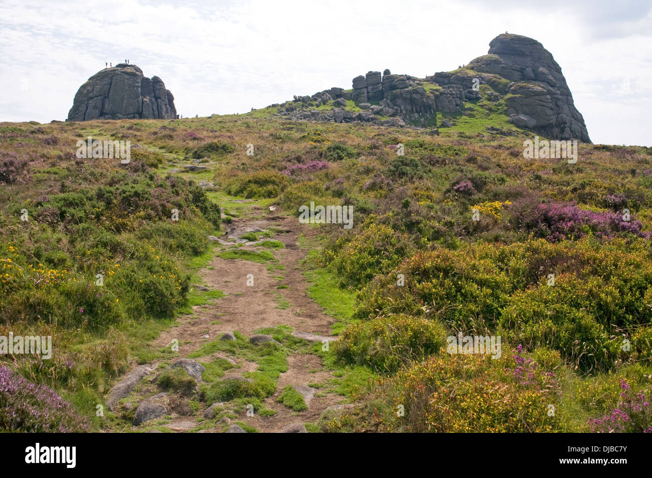 Haytor on Dartmoor, viewed from the northern side Stock Photo - Alamy