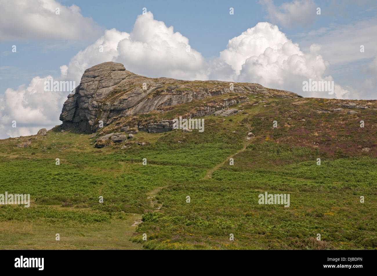 Looking east to Haytor on Dartmoor Stock Photo - Alamy